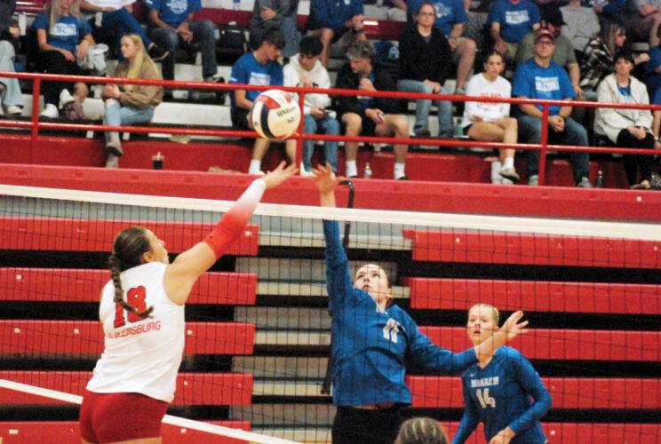 Warren volleyball sweeps Parkersburg | News, Sports, Jobs - Marietta Times